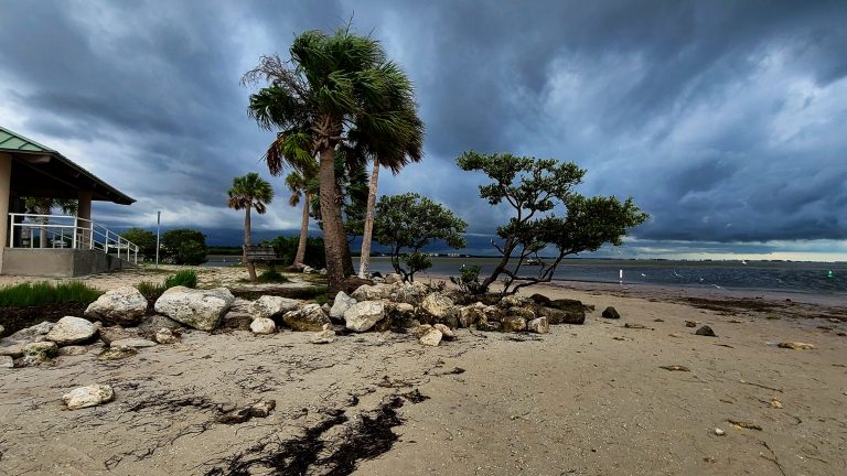 Florida's Suncoast Beaches - North of Clearwater - Walk in the Sand